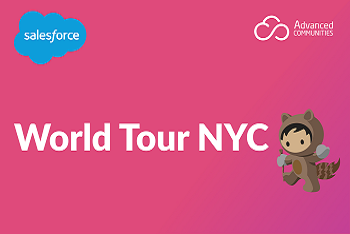 Salesforce Experience Cloud Development & Implementation | Advanced ...