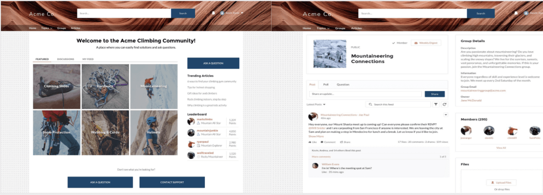 Salesforce Customer Portal vs Communities: What’s The Difference ...